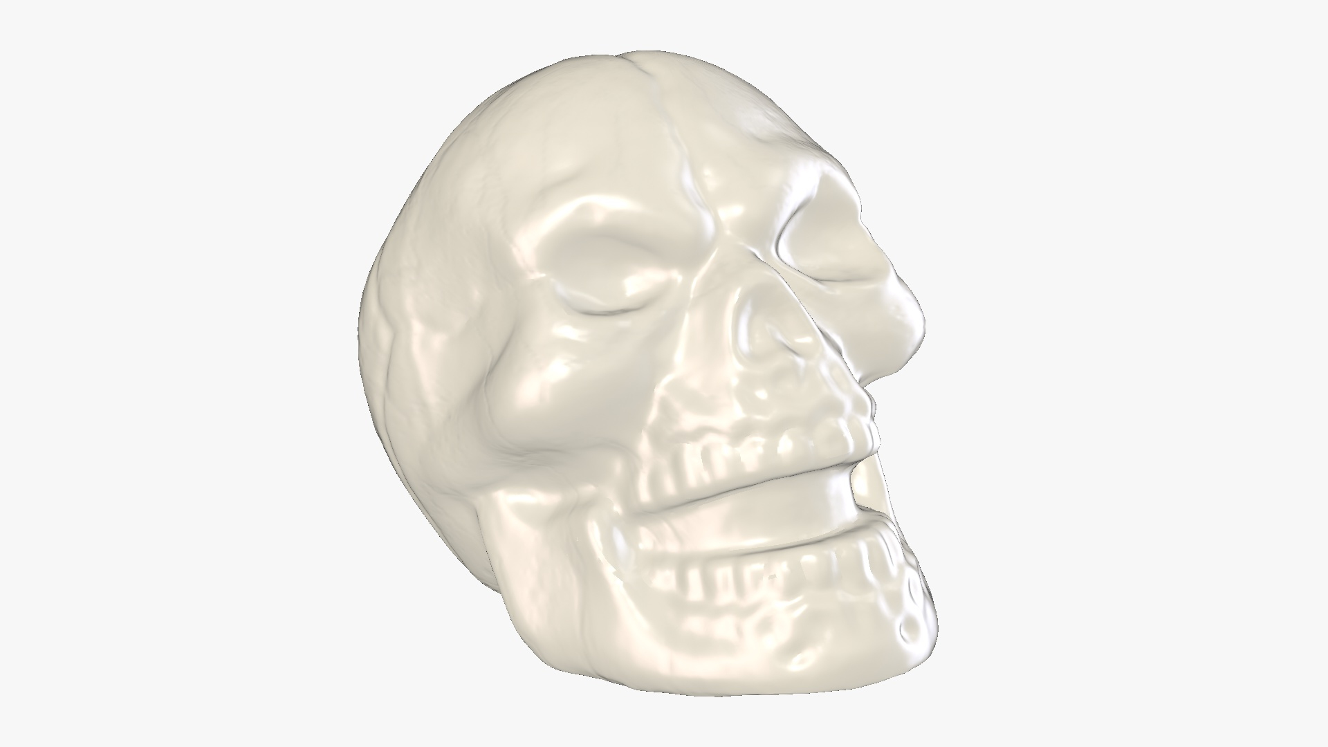 3D Skull Model - TurboSquid 1952915