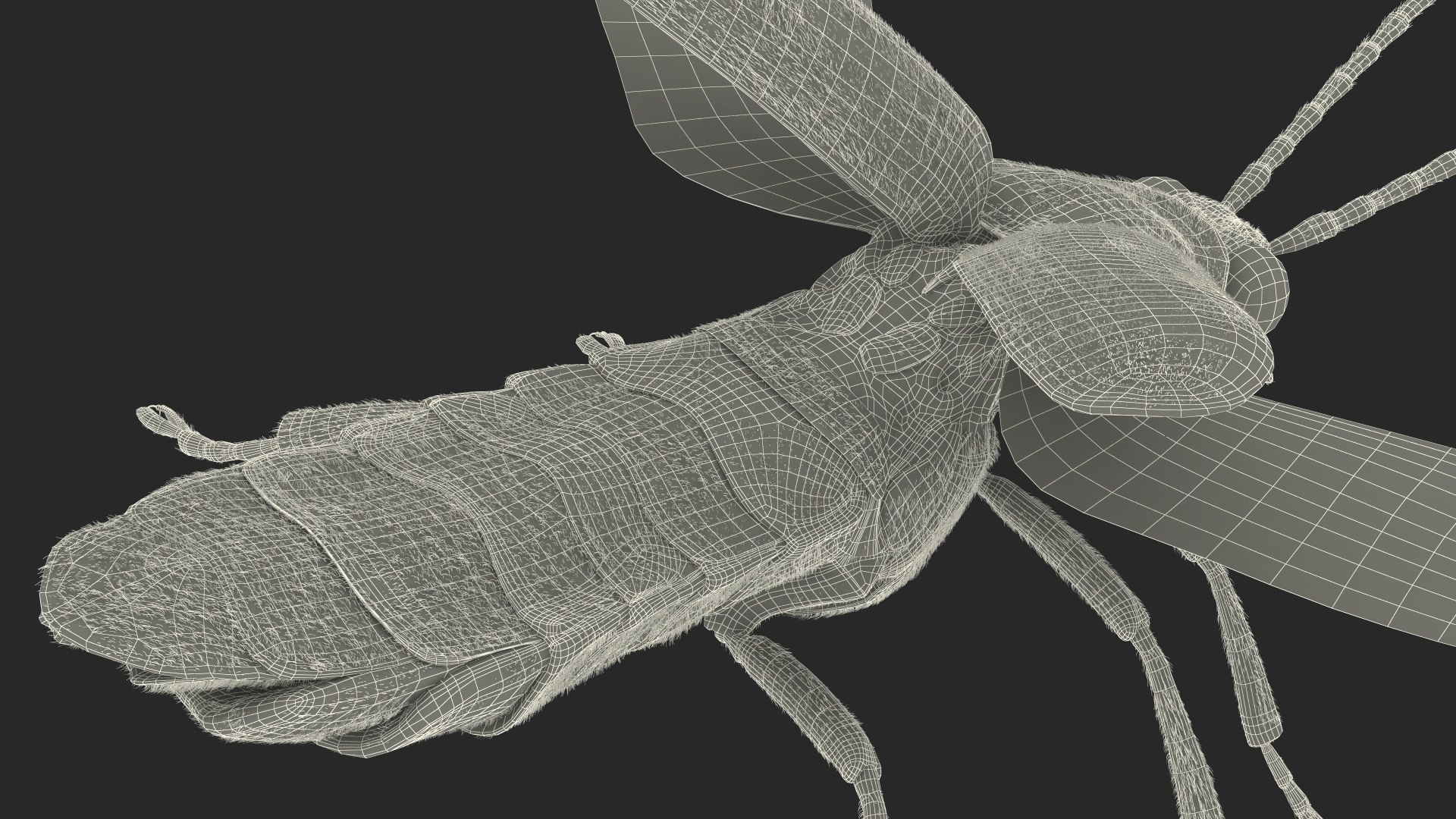Glowing Firefly Basic Pose Fur 3D - TurboSquid 2170495
