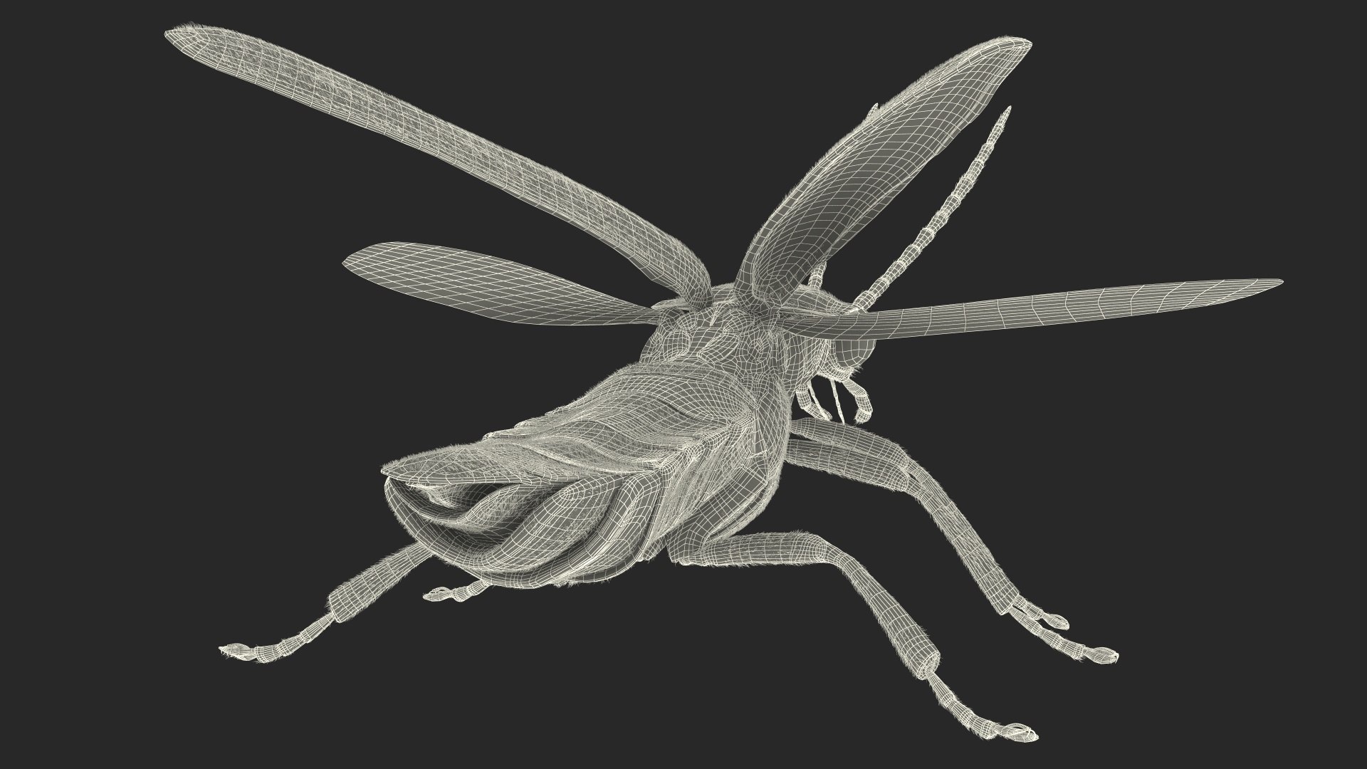 Glowing Firefly Basic Pose Fur 3D - TurboSquid 2170495