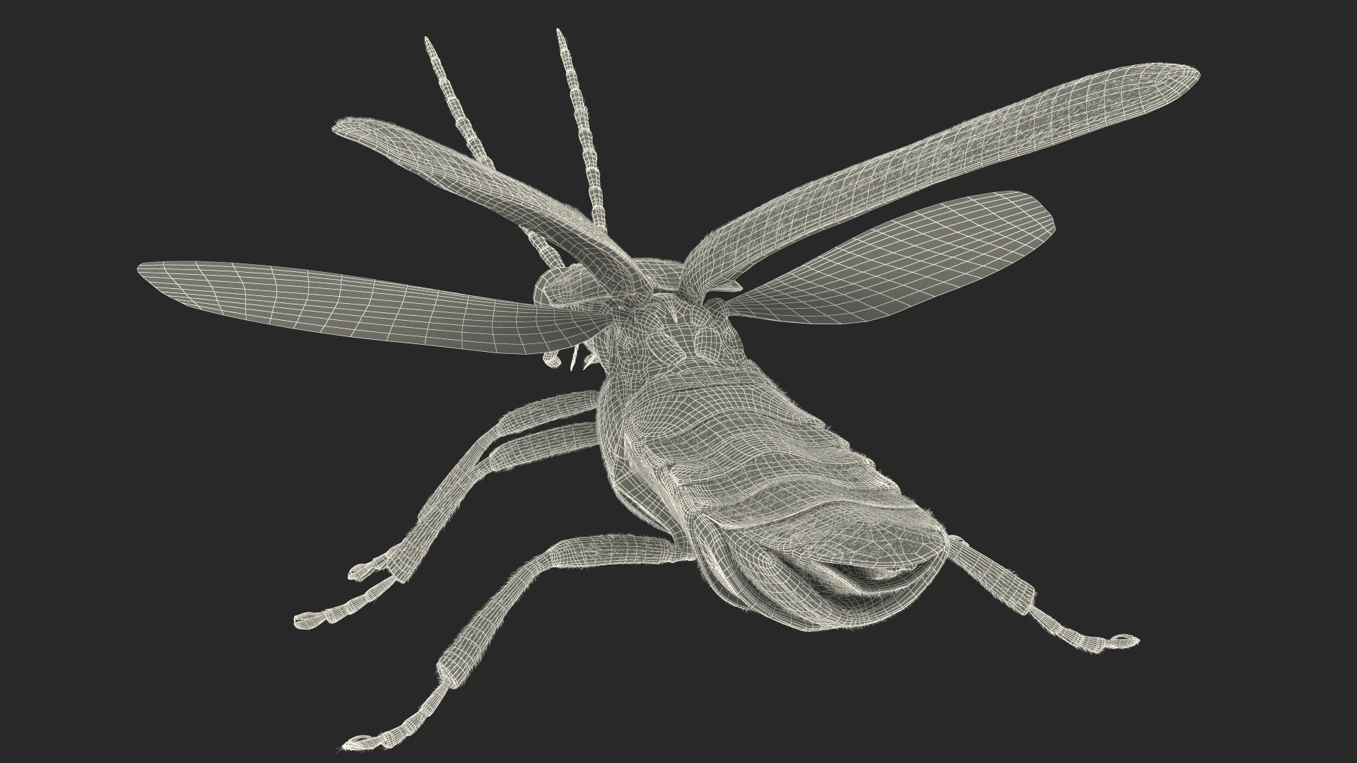 Glowing Firefly Basic Pose Fur 3D - TurboSquid 2170495