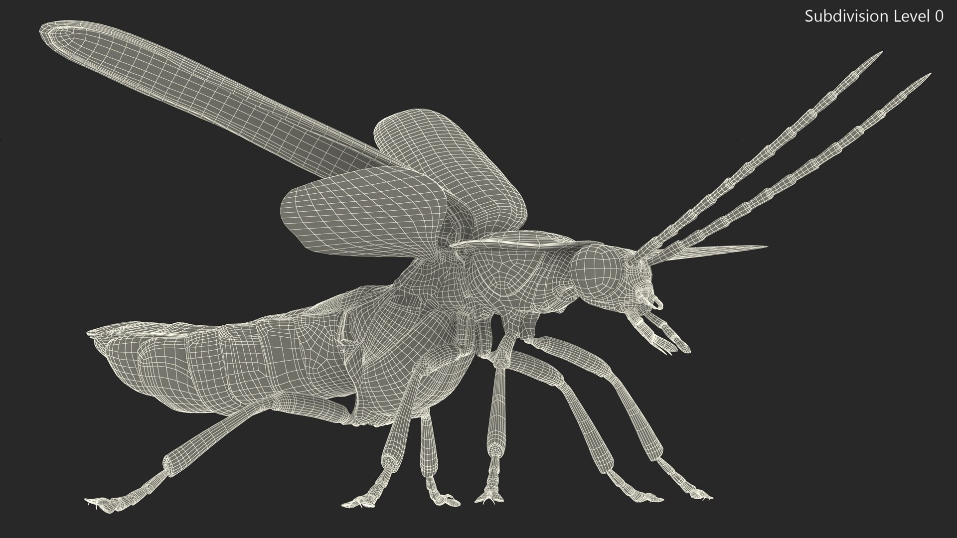 Glowing Firefly Basic Pose Fur 3D - TurboSquid 2170495