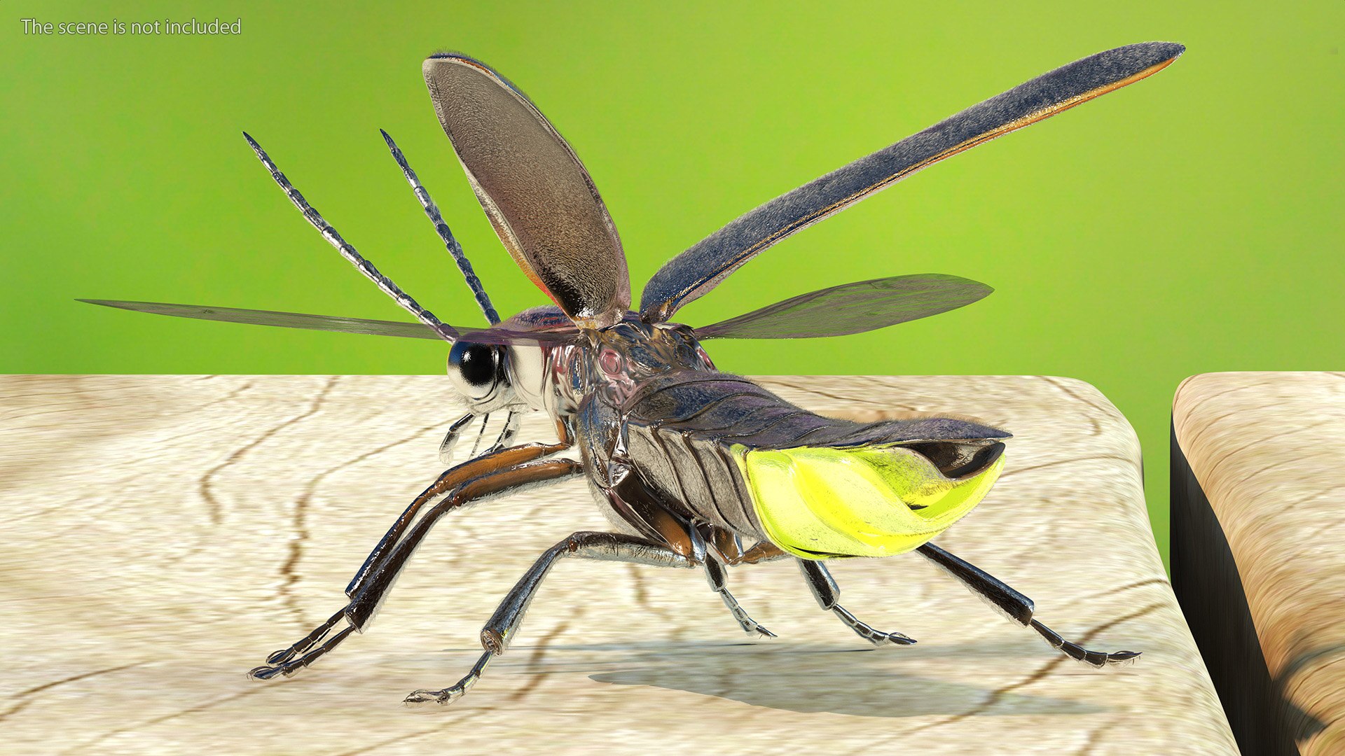 Glowing Firefly Basic Pose Fur 3D - TurboSquid 2170495