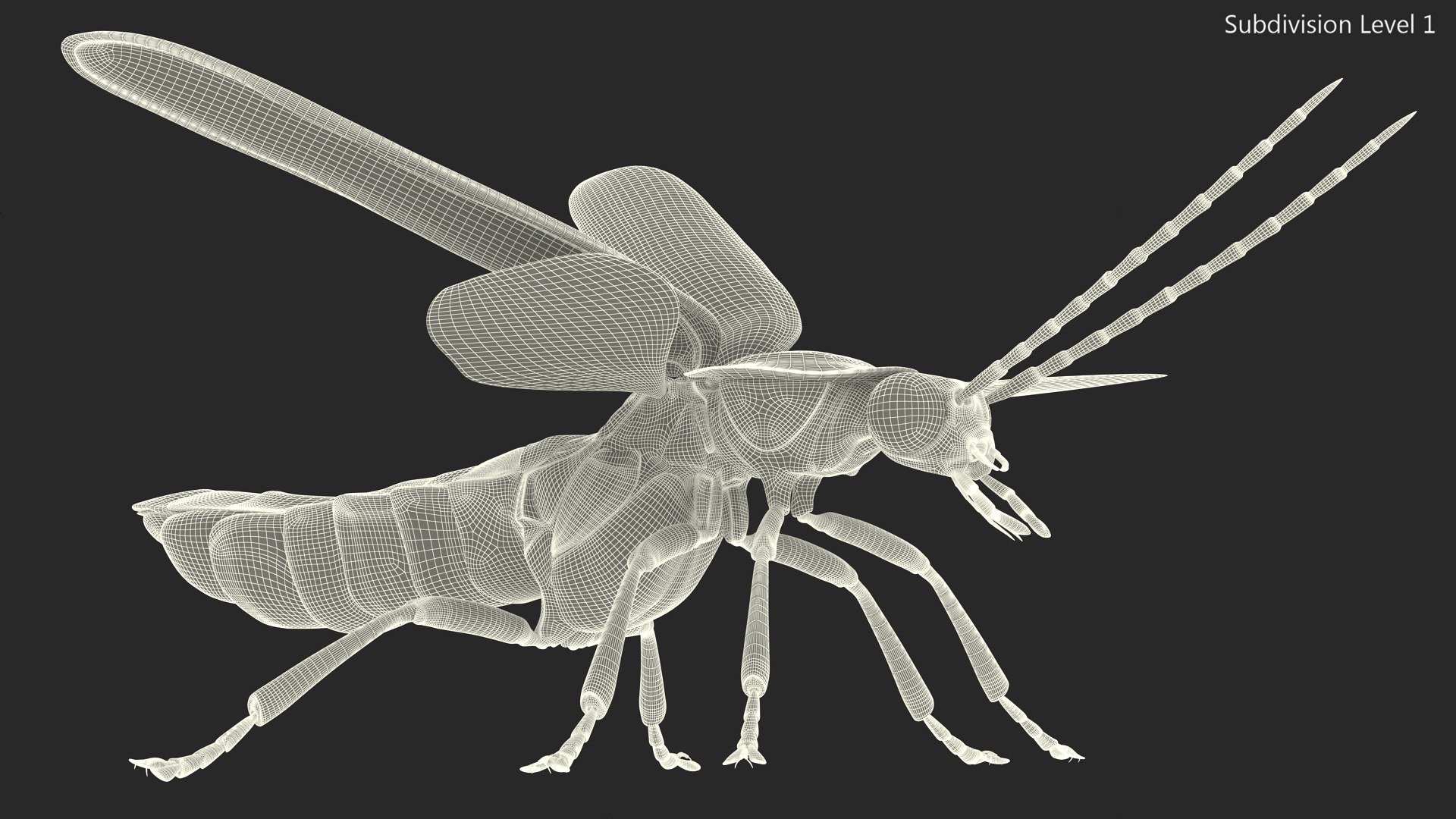 Glowing Firefly Basic Pose Fur 3D - TurboSquid 2170495