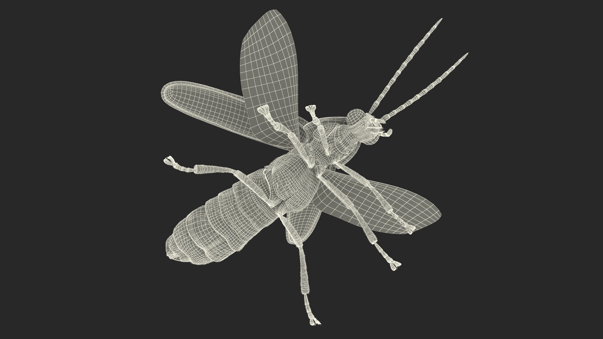 Glowing Firefly Basic Pose Fur 3D - TurboSquid 2170495