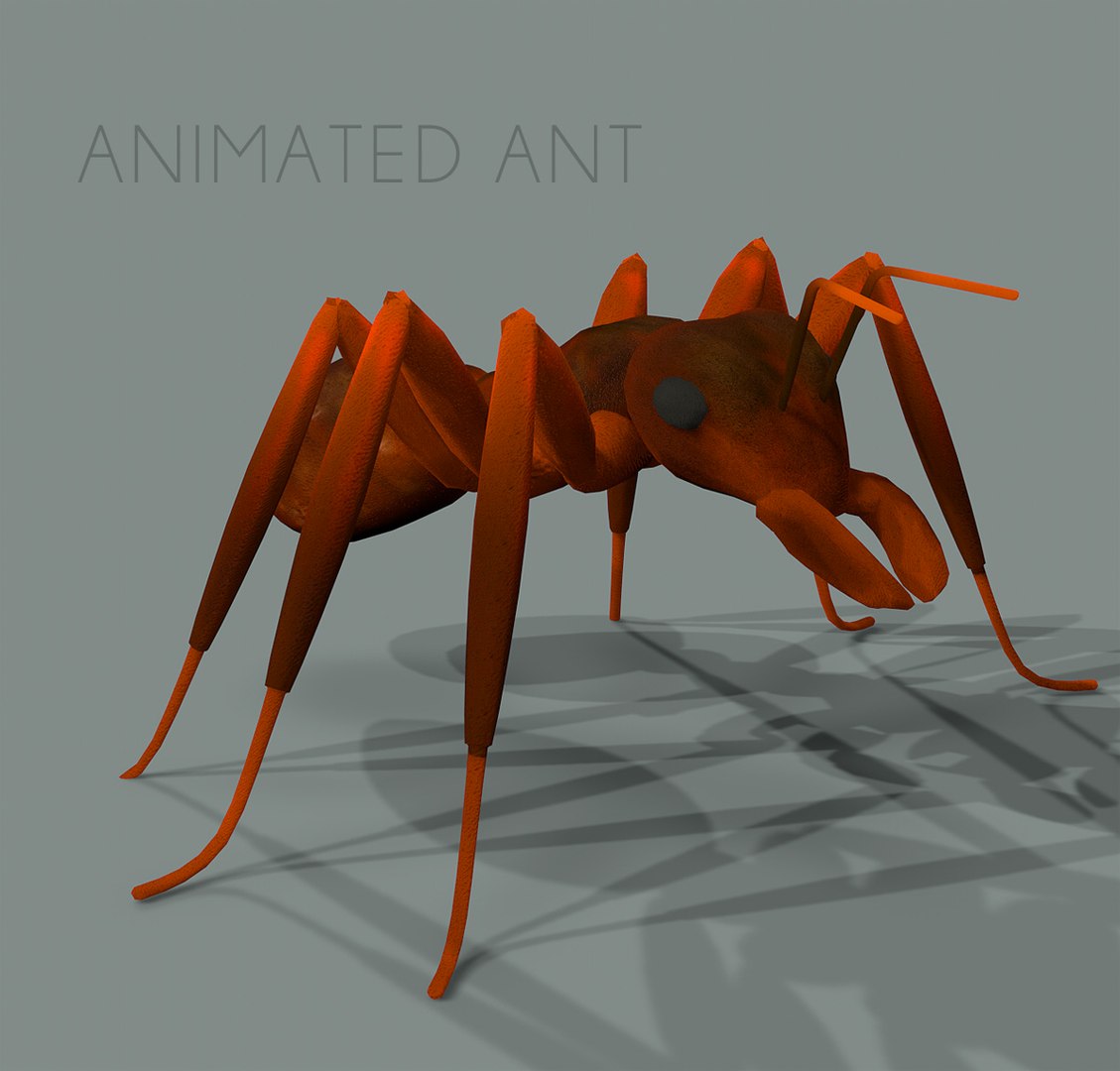 3d Ant Insect