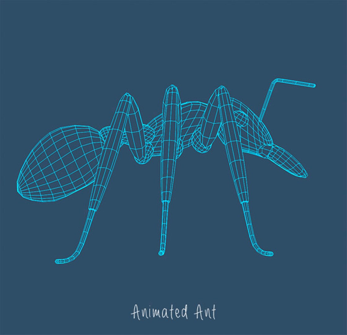 3d Ant Insect