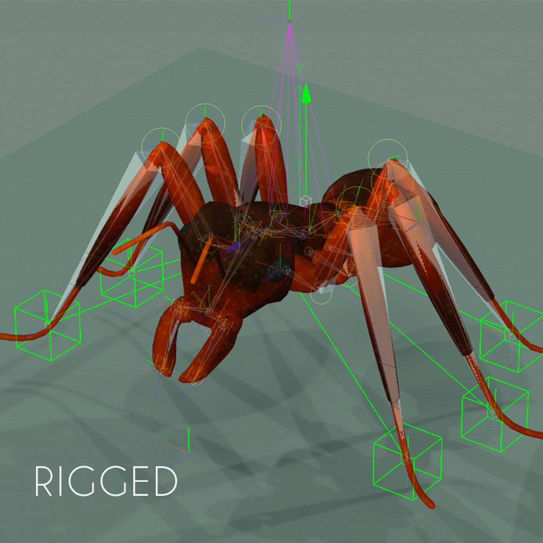 3d Ant Insect