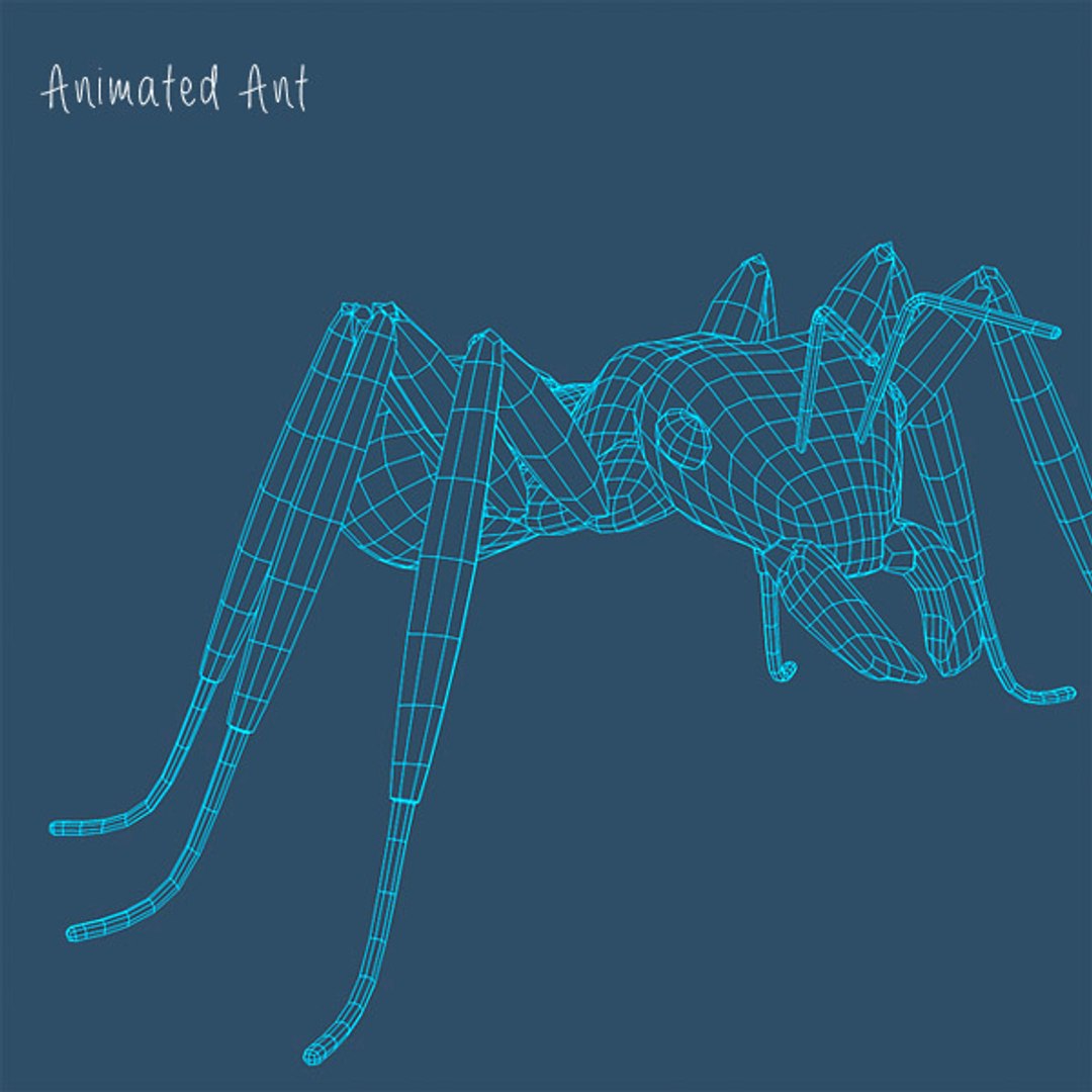 3d Ant Insect
