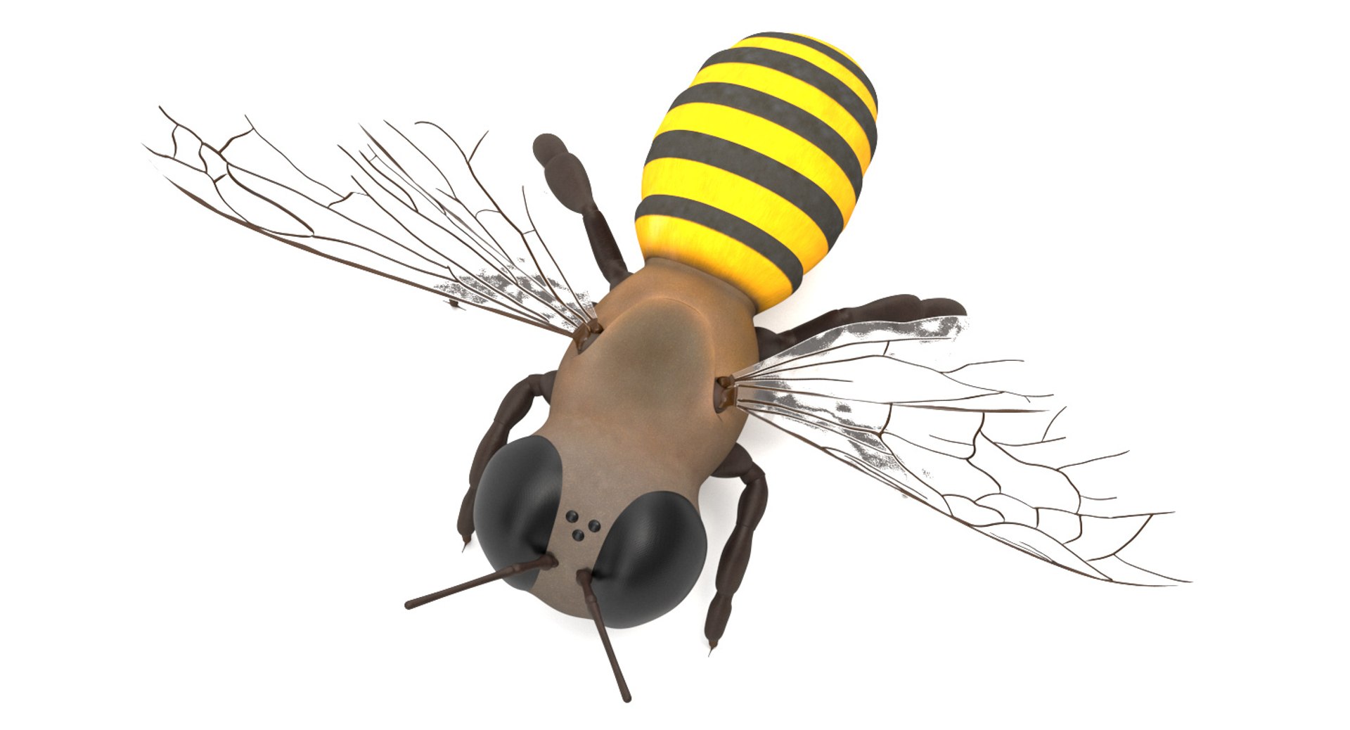 Cartoon Bee Model - TurboSquid 1356215