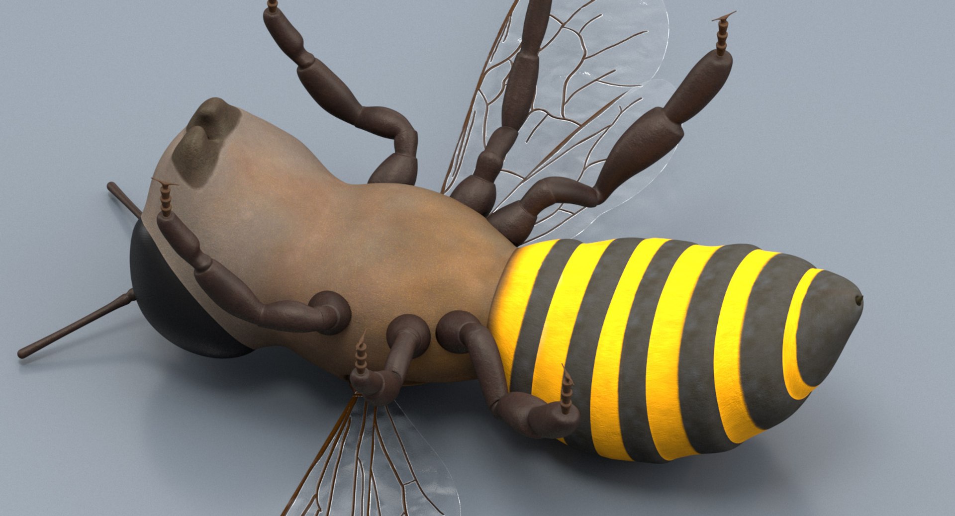 Cartoon Bee Model - TurboSquid 1356215