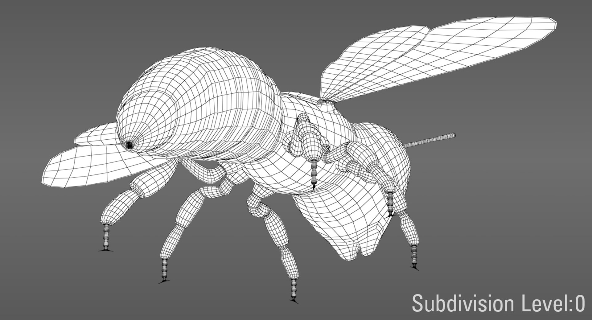 Cartoon Bee Model - TurboSquid 1356215