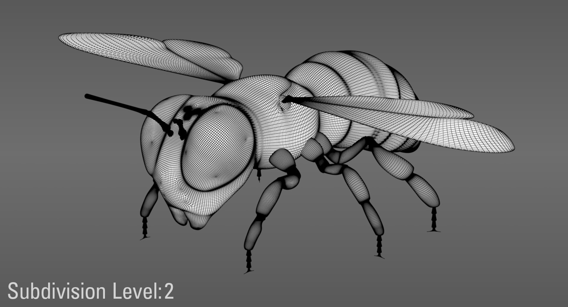 Cartoon Bee Model - TurboSquid 1356215