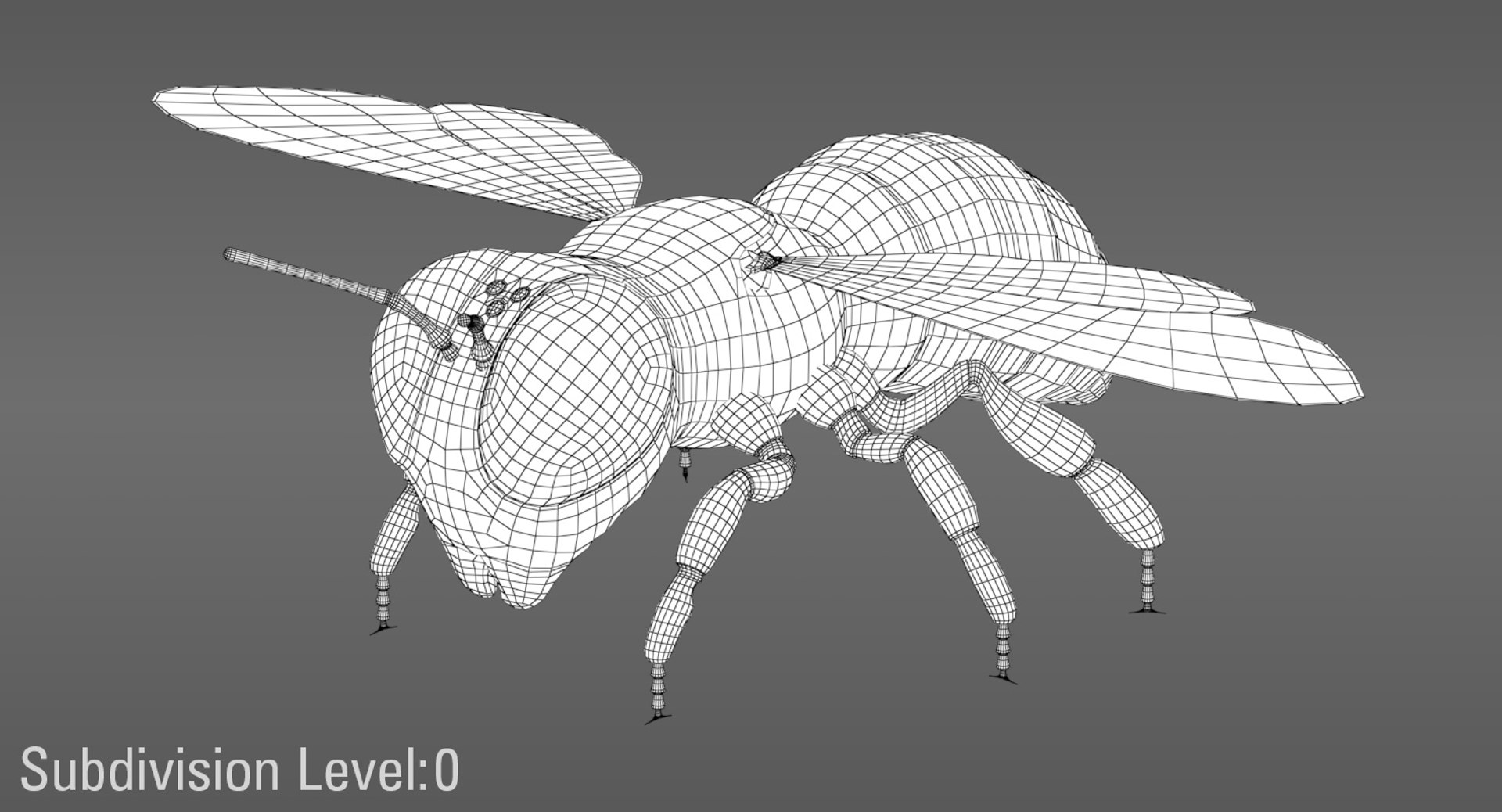 Cartoon Bee Model - TurboSquid 1356215