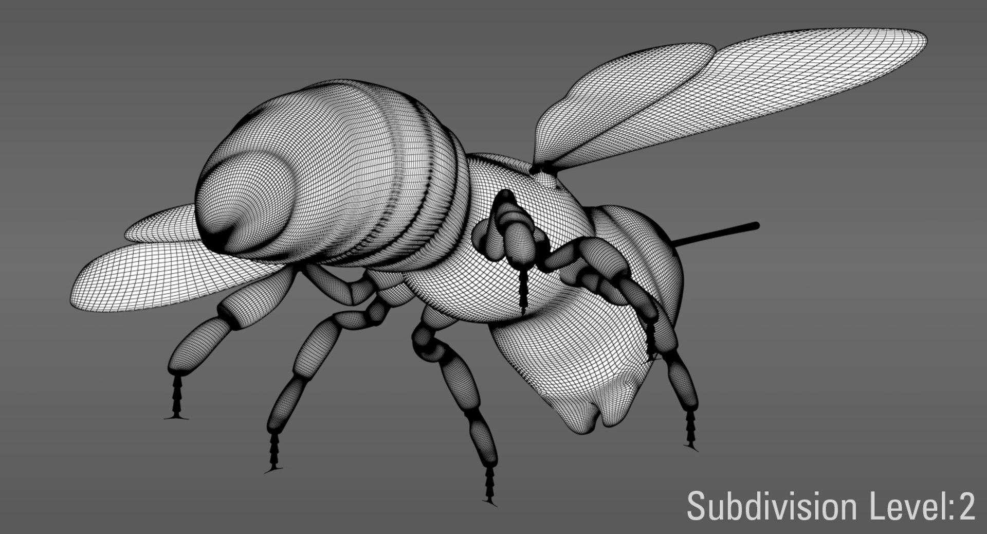 Cartoon Bee Model - TurboSquid 1356215