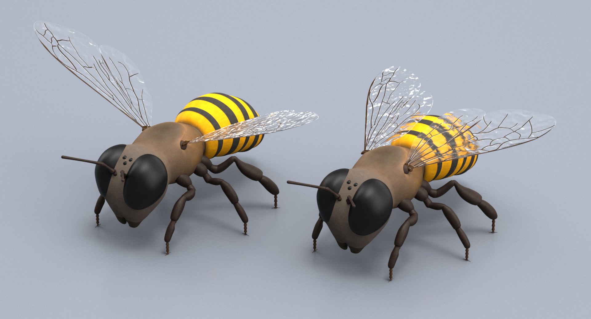 Cartoon Bee Model - TurboSquid 1356215