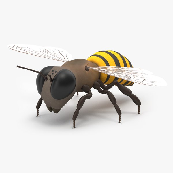 Cartoon Bee 3D Models for Download | TurboSquid