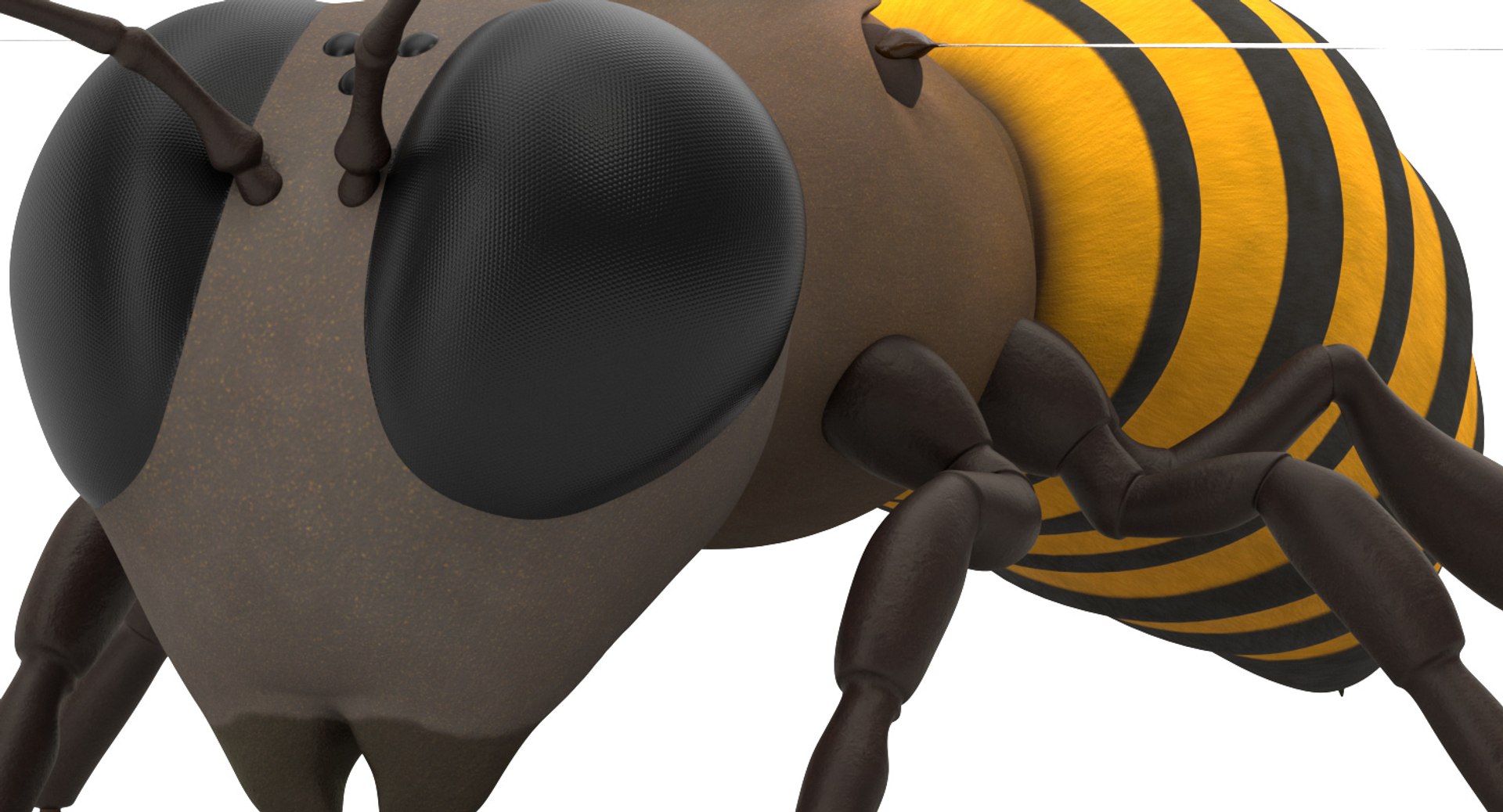 Cartoon Bee Model - TurboSquid 1356215