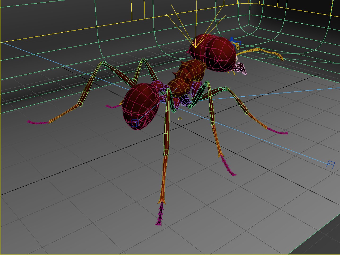 3d Ant Atta Laevigata Model