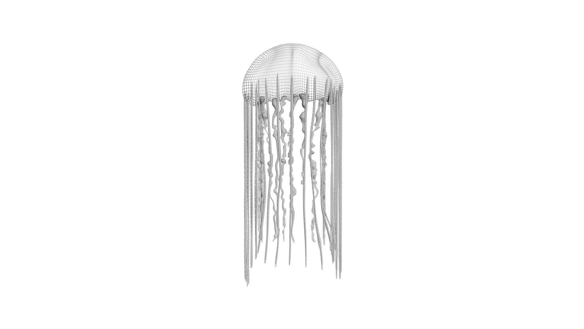 3D Jellyfish model - TurboSquid 1932667