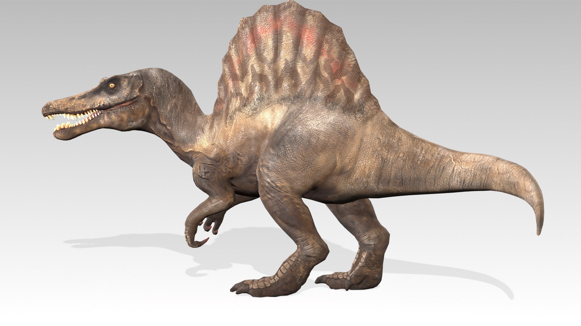 Spinosaurus Animated 3D Model - TurboSquid 2423658