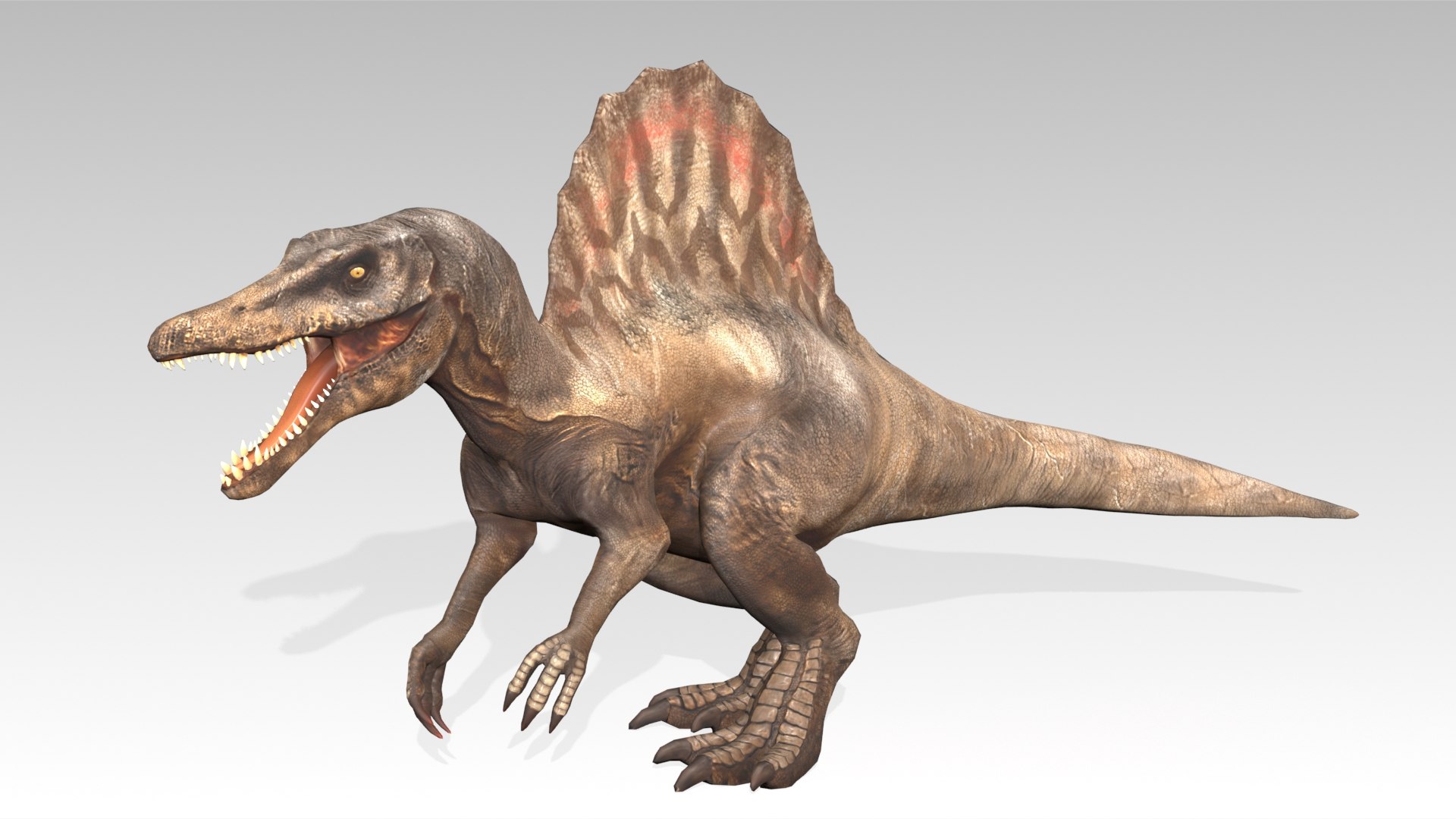 Spinosaurus Animated 3D Model - TurboSquid 2423658