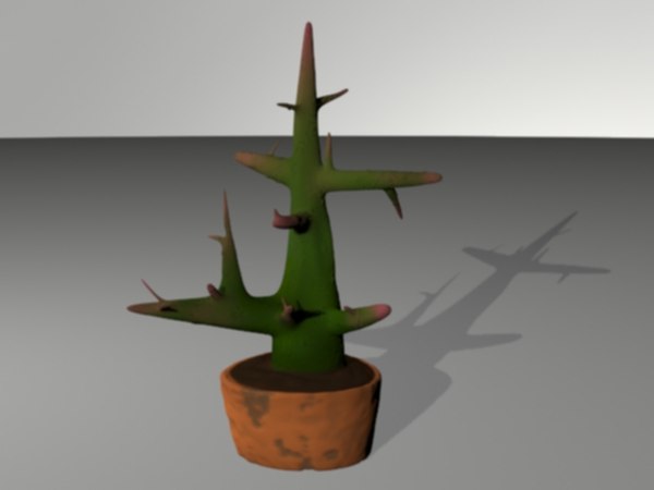 3d plant cactus model