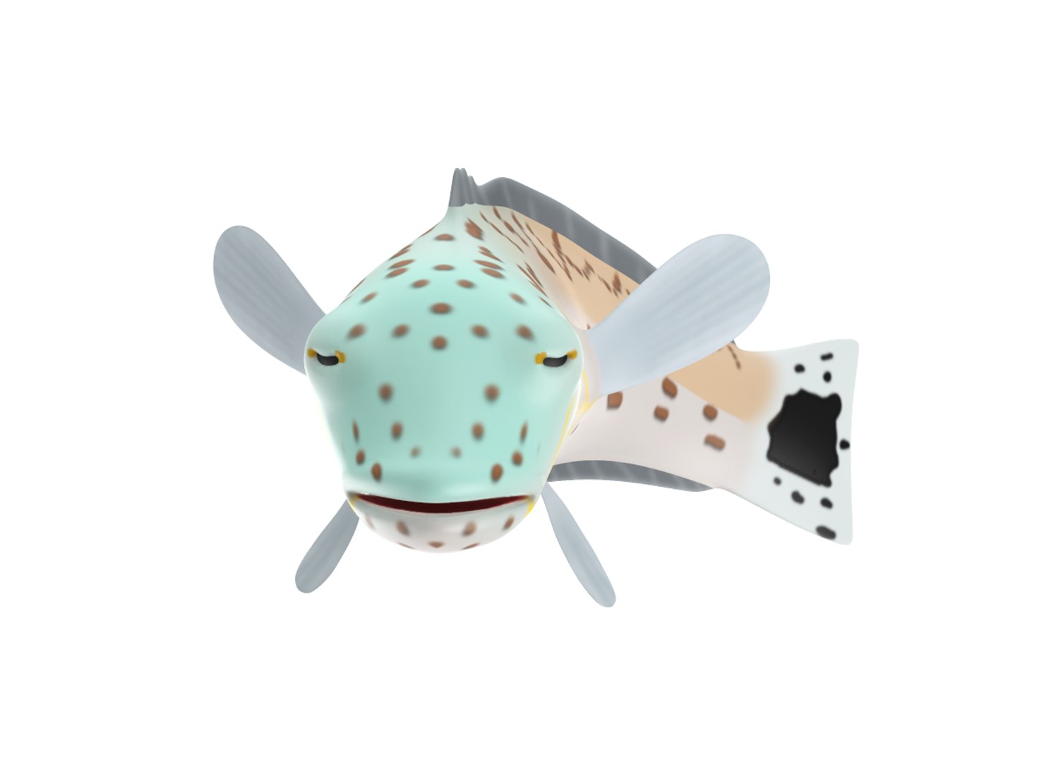 Speckled Sand Perch Fish Toon 3D Model - TurboSquid 1586159