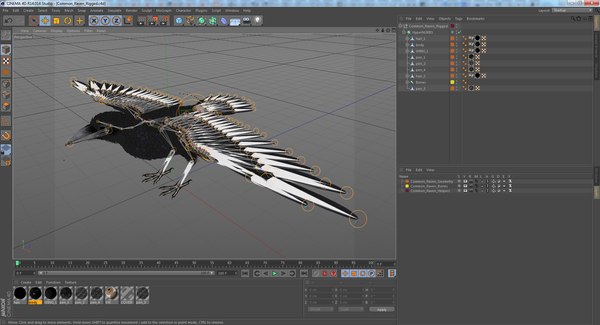 modelo 3d Common Raven aparejado para Cinema 4D - TurboSquid 1558864
