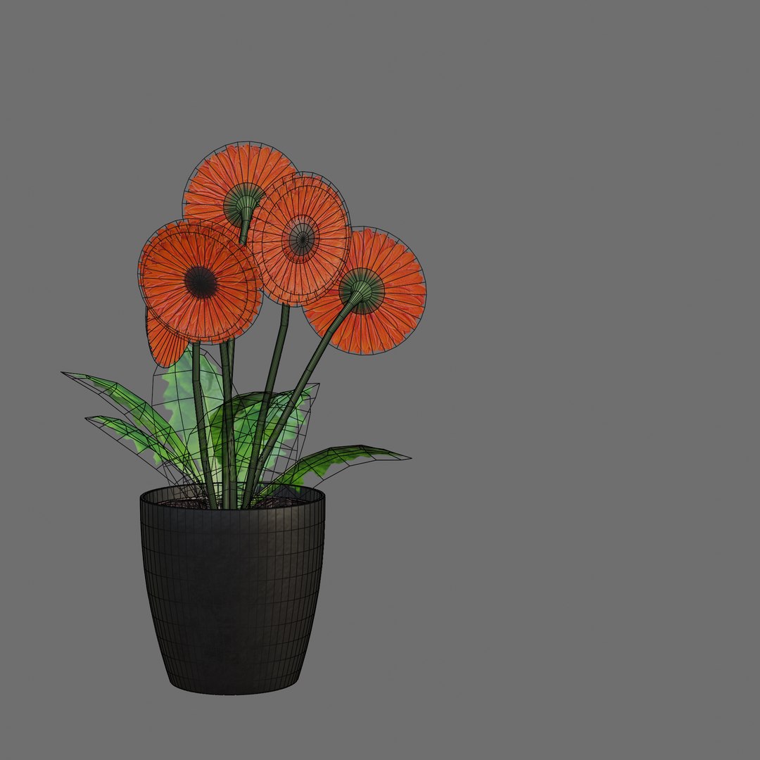 Gerbera 3D - TurboSquid 2031126