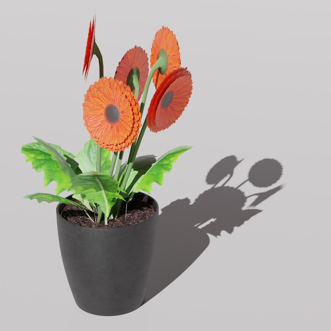 Gerbera 3D - TurboSquid 2031126