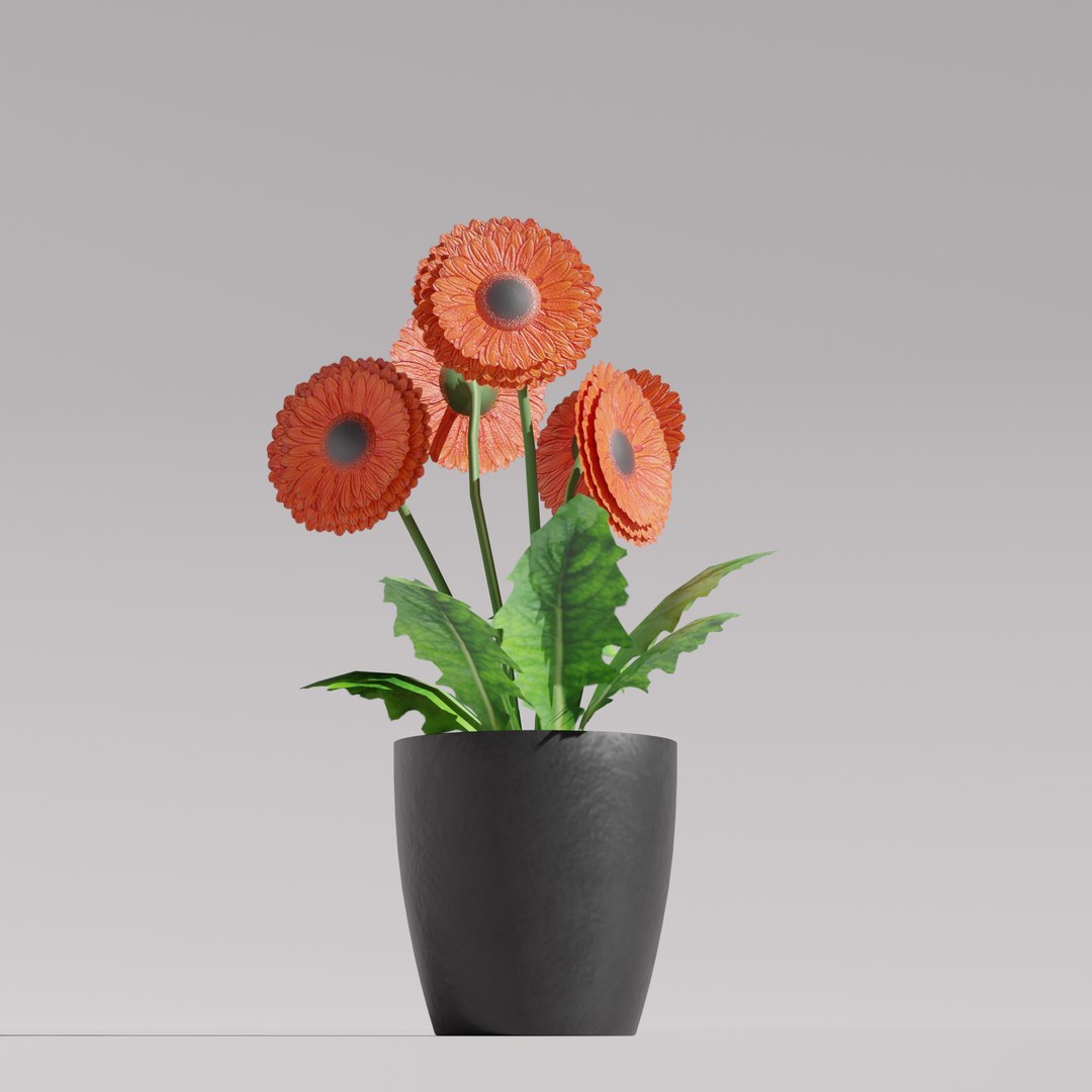 Gerbera 3D - TurboSquid 2031126