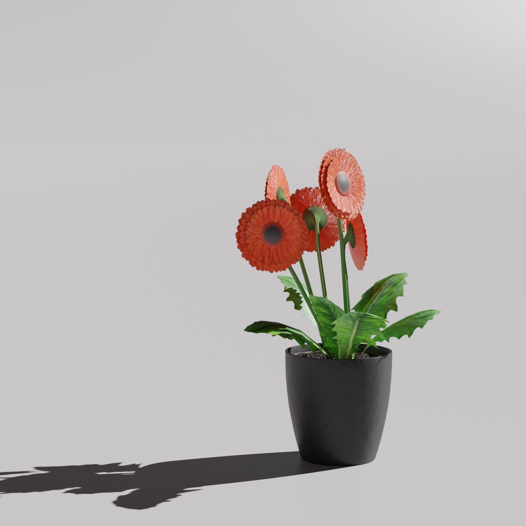 Gerbera 3D - TurboSquid 2031126