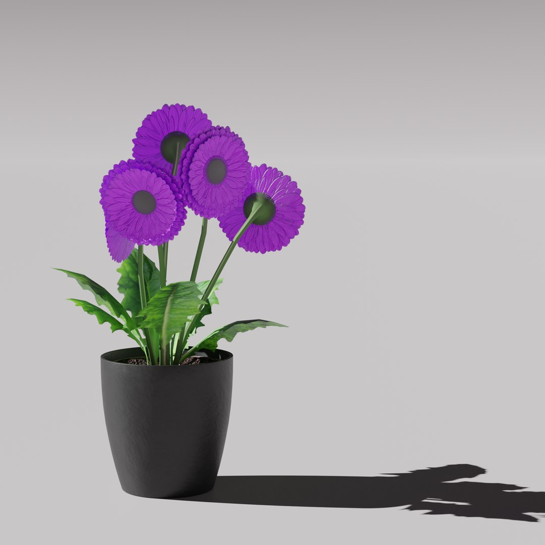 Gerbera 3D - TurboSquid 2031126