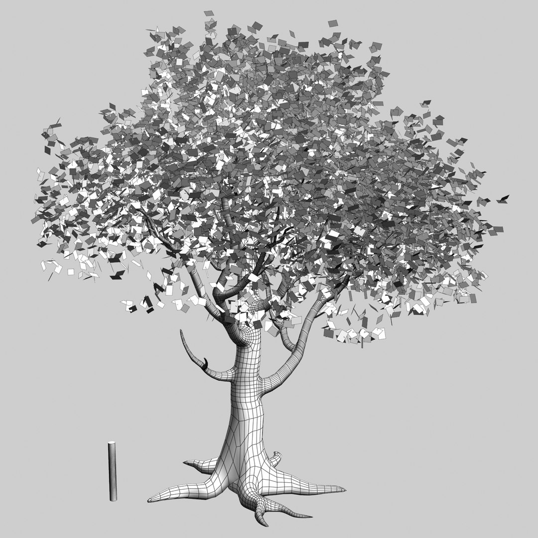 Tree Nature 3D Model - TurboSquid 1281132