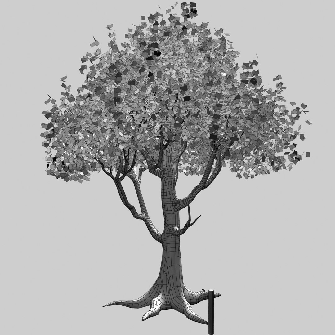 Tree Nature 3D Model - TurboSquid 1281132