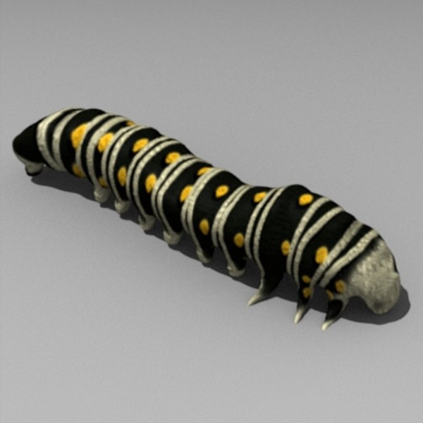 Caterpillar 3D Models for Download | TurboSquid