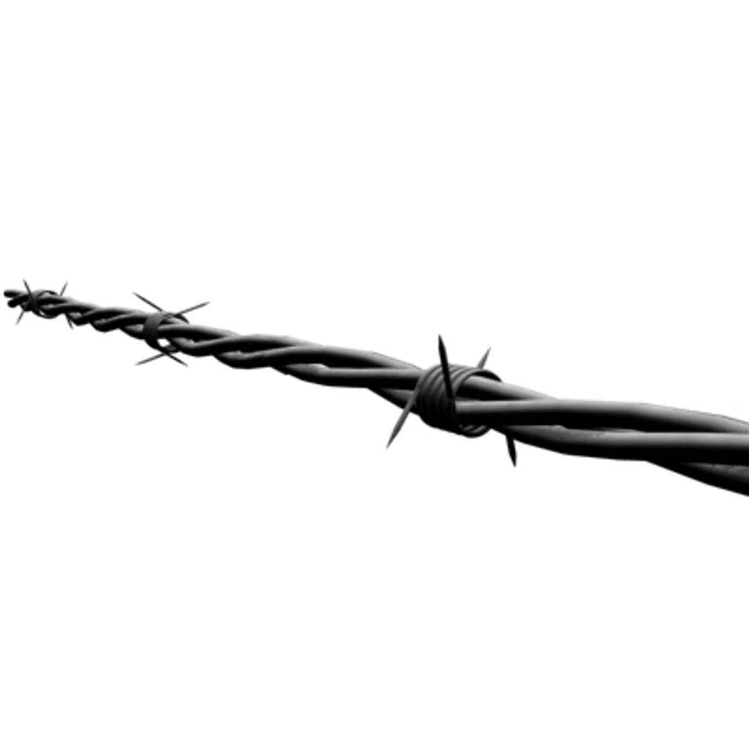 Barbed Wire 3d Model