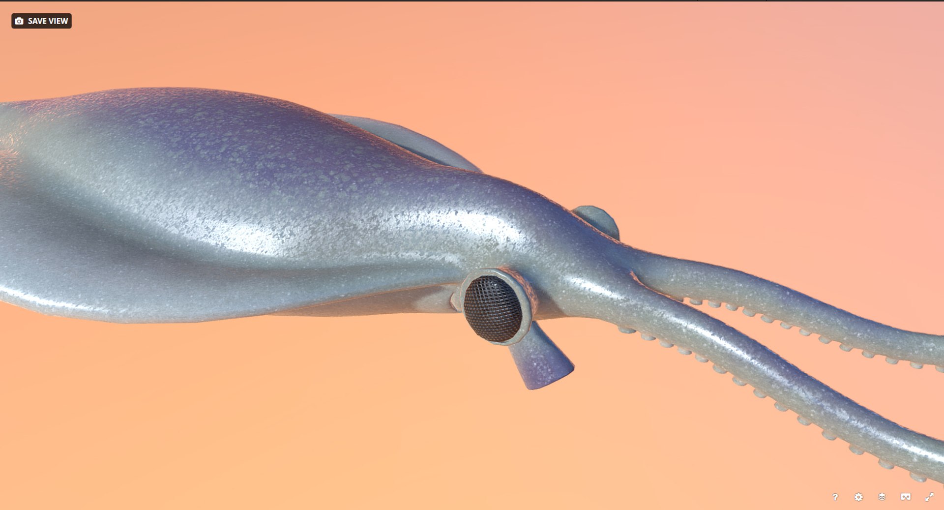 3D Nectocaris Pteryx - TurboSquid 1576374