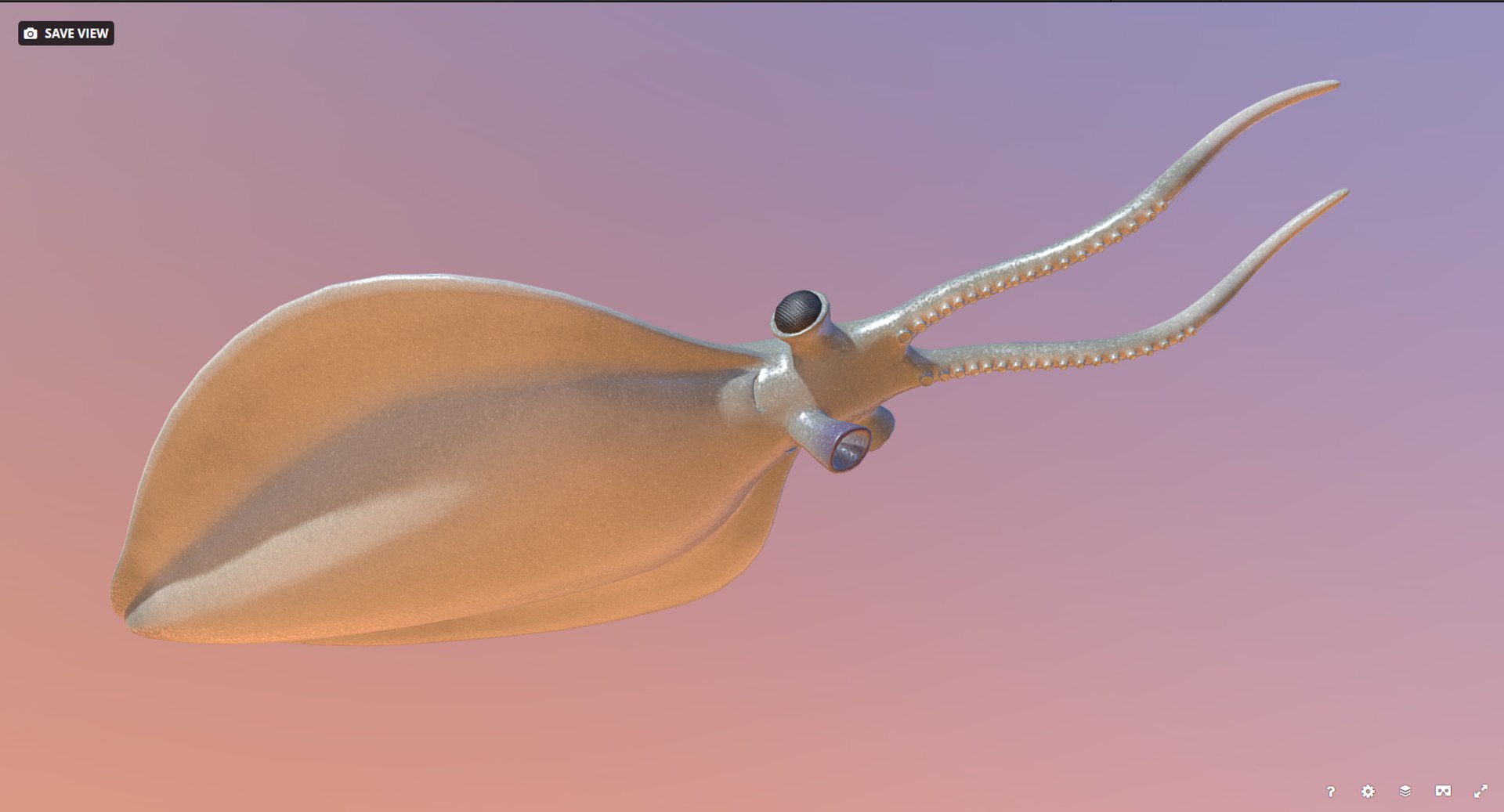 3D Nectocaris Pteryx - TurboSquid 1576374