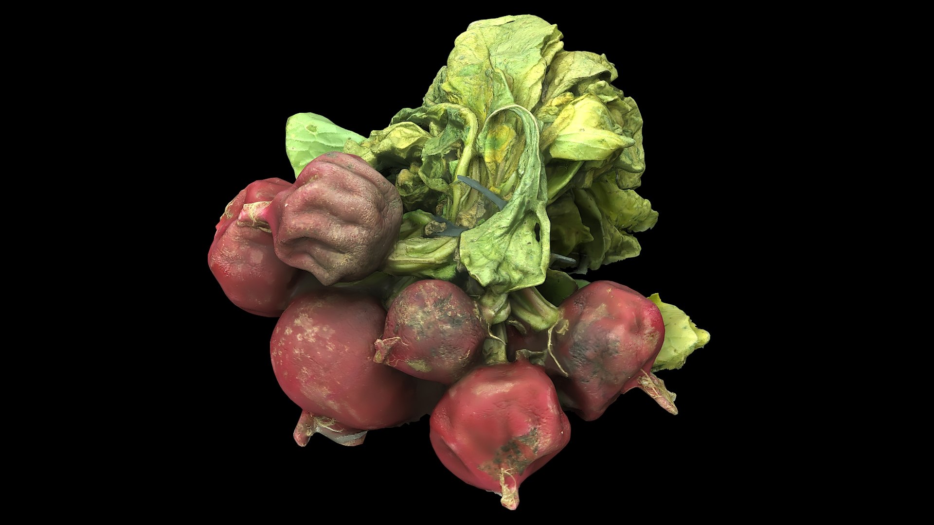 Garbage Rotten Collection 01 Model - TurboSquid 2042640