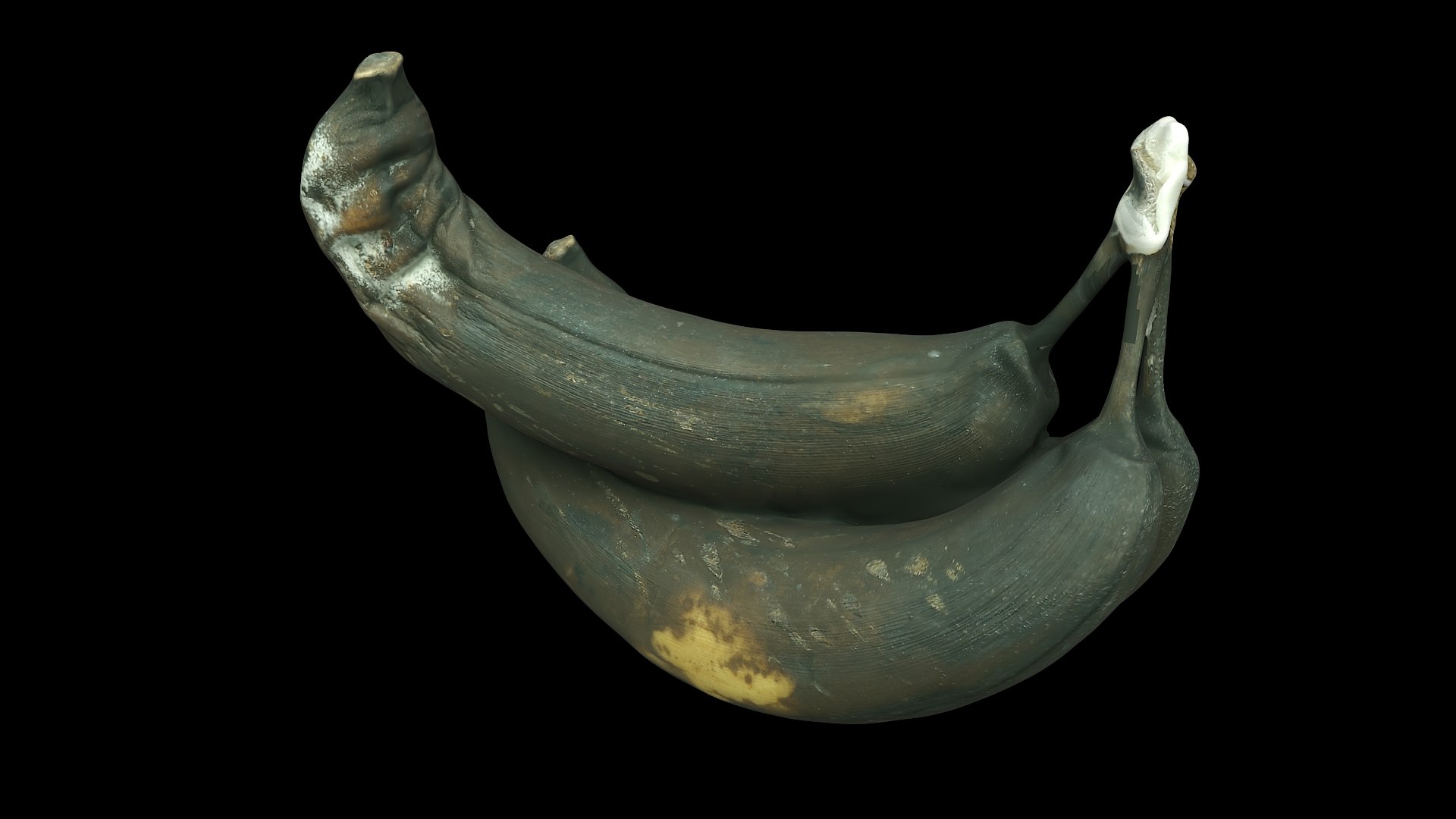 Garbage Rotten Collection 01 Model - TurboSquid 2042640