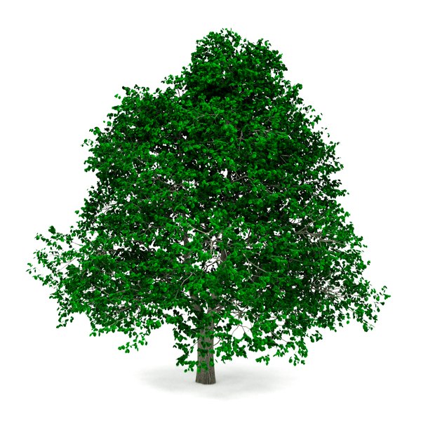 3d green tree model