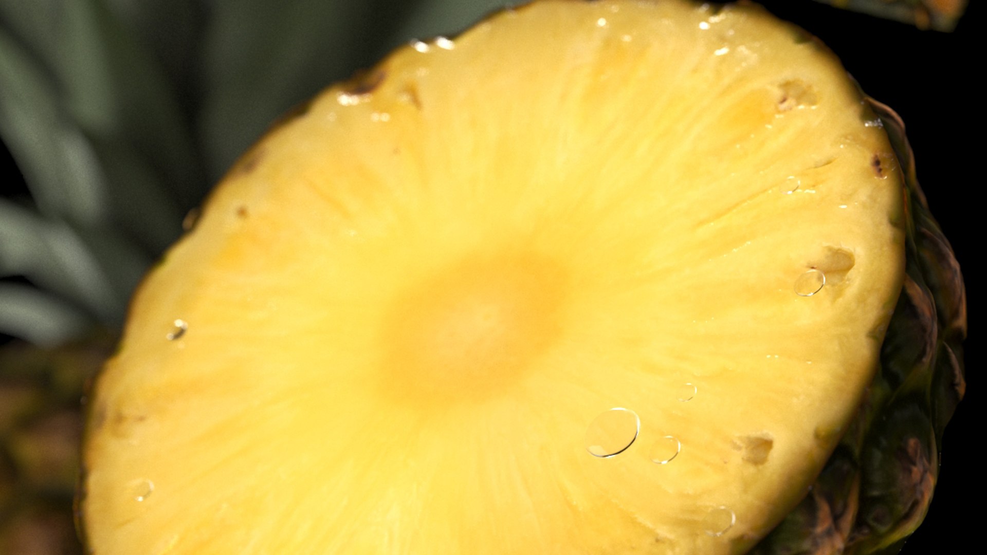 3D PINEAPPLE Model - TurboSquid 1785505