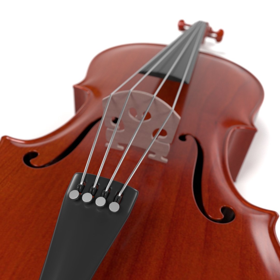 bowed strings 3d model