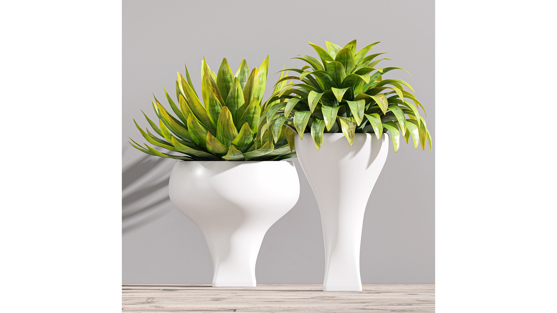 3D Office Plant Foliage Shrubs - TurboSquid 2244563