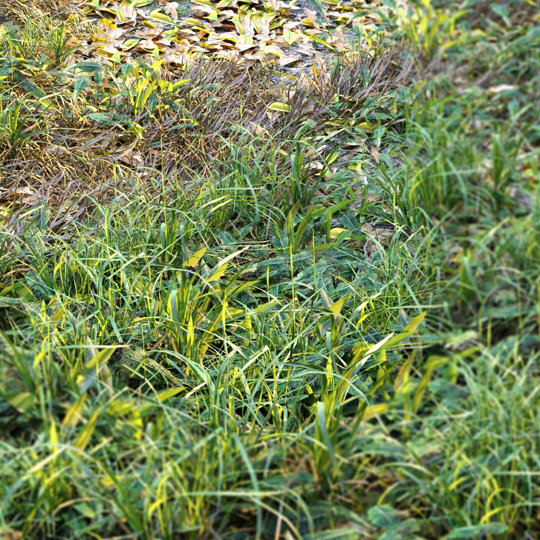 3D Meadow 2 - TurboSquid 1953823