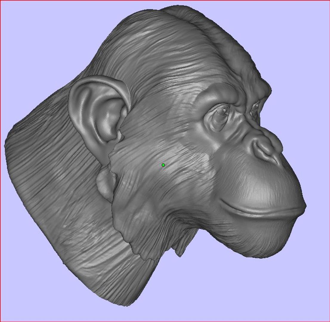 Chimpanzee Chimp Head 3d Model