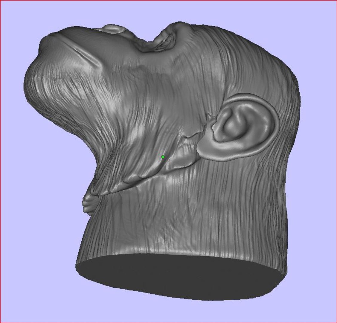 Chimpanzee Chimp Head 3d Model