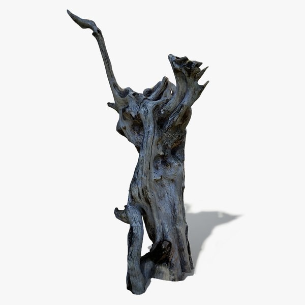 3d model old tree trunk