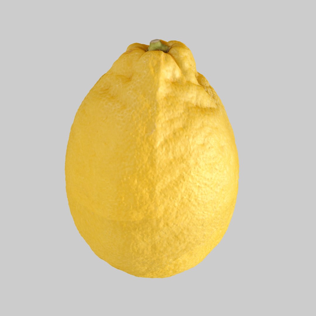 Lemon Fresh 3D Model - TurboSquid 1436216